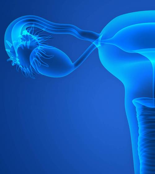 Ultraschalluntersuchung der Eileiter | Kinderwunschzentrum Hannover-Bad ...